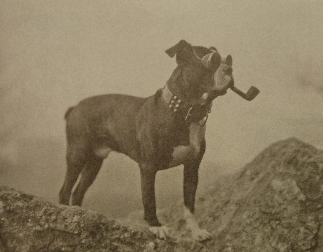 Photographs of Reveal Victorian Monsters « Tim Kane Books